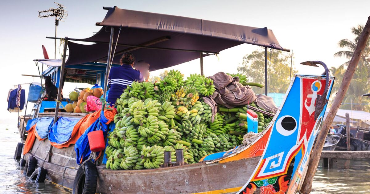 Mekong Floating Markets from Saigon for Solo Travelers Travel Guide ...