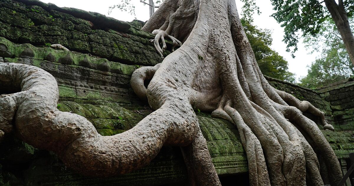Cambodia e-Visa for Tourists Travel Guide 2026-2027: Requirements ...