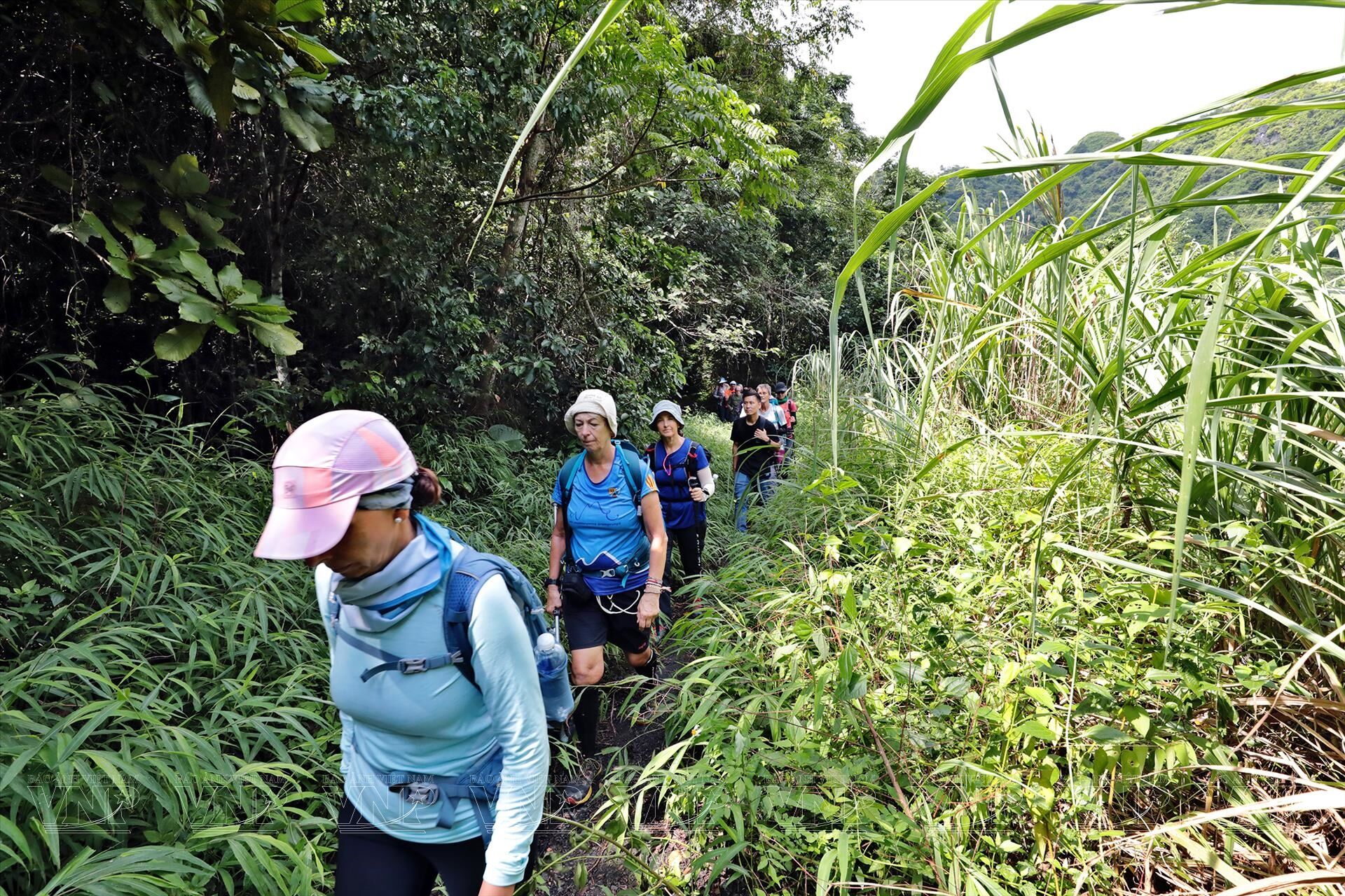 Best Vietnam Tours for Trekking Halong – Cat Ba Island & Lan Ha Bay ...
