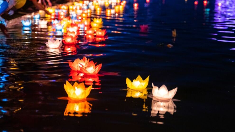 Hoi An vs Da Nang Travel Guide: Comparison, Tips & Eco-Tours