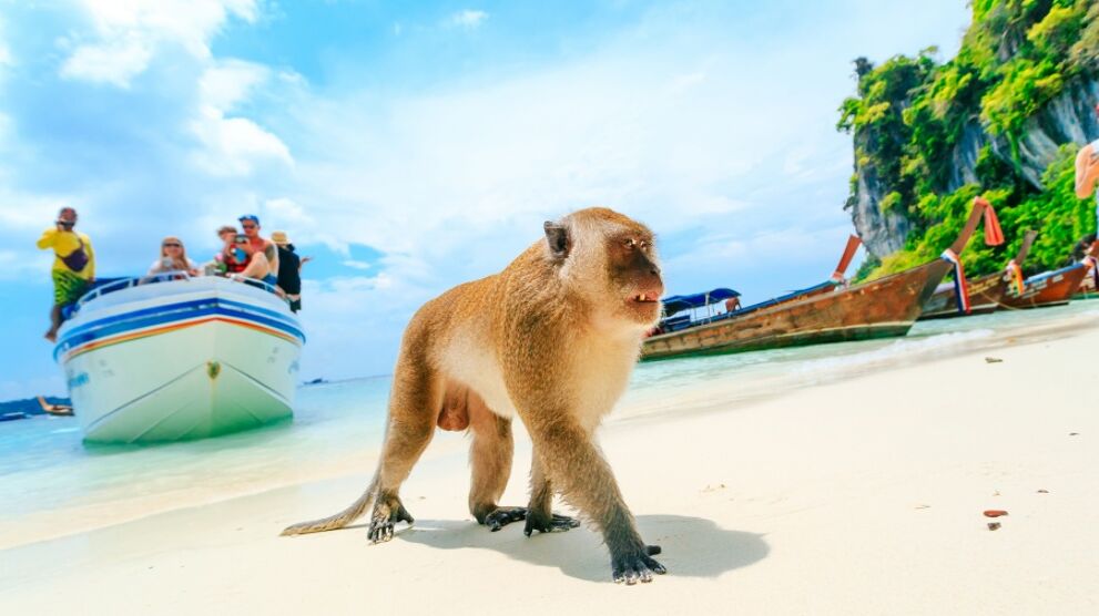Best Thailand Tours from Vatican City Travel Guide: Cultural Insights ...