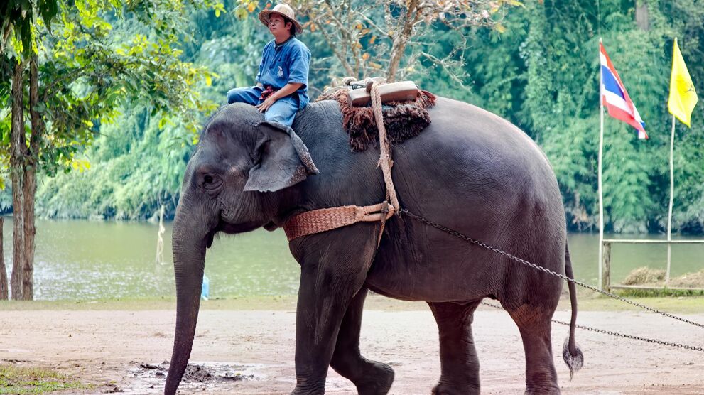 Lampang vs Siem Reap Travel Guide: Cultural Insights, Costs & Eco-Tours